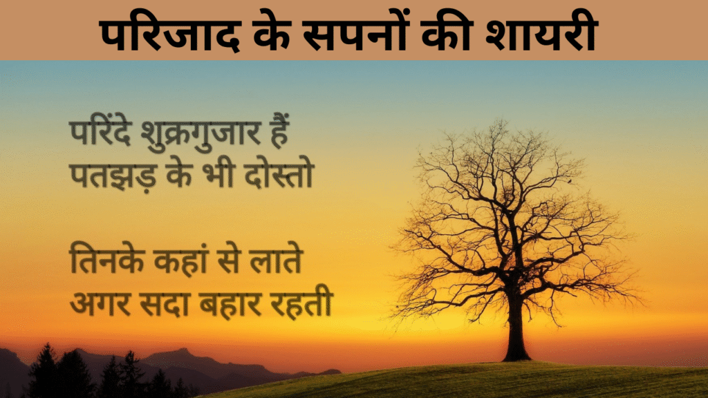 Parizaad Shayari एक गहरी भावनाओं की यात्रा